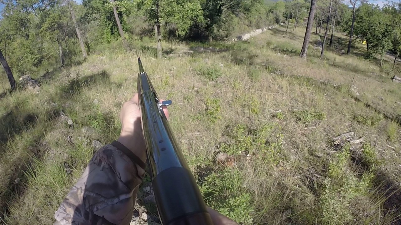 chasse en battue - YouTube