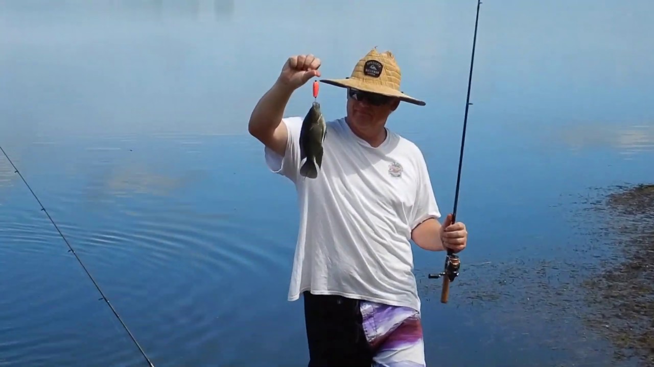 Tilapia and Garfish North Pine Dam Bullockys Rest - YouTube