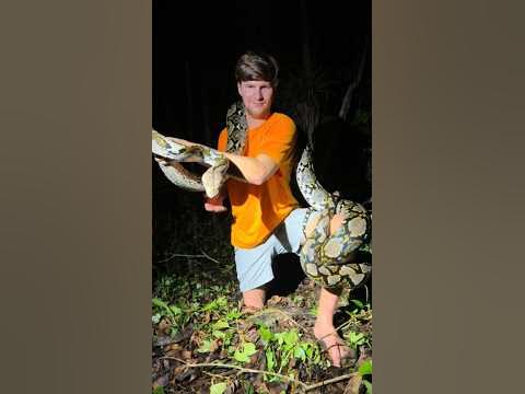 Looking for a 20 foot reticulated python in Puerto Rico #snake#wildlife ...