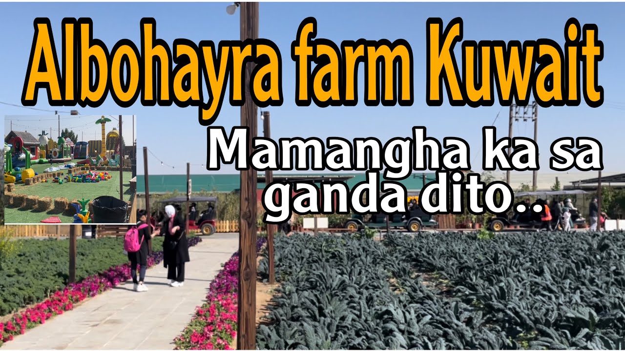 🔴 Albohayra farm Kuwait/napakagandang lugar wag mong palagpasin ...