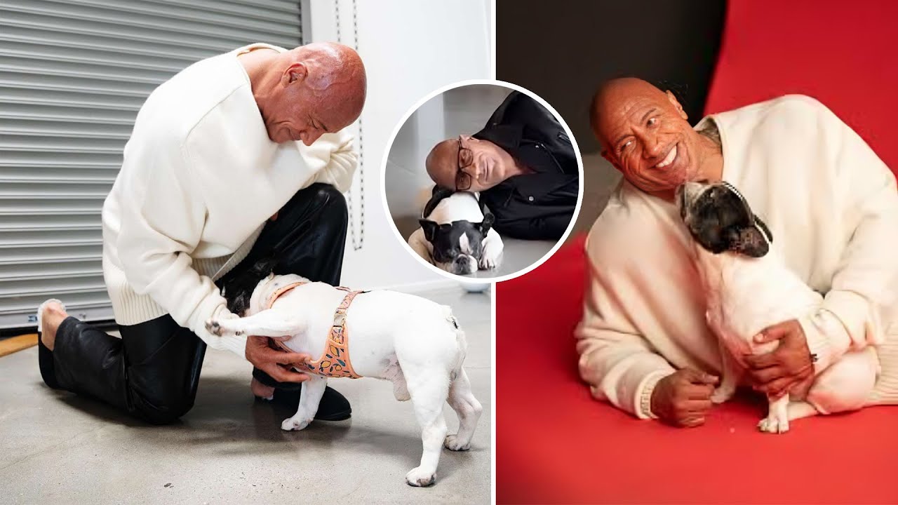 Dwayne Johnson Goes 'Numb' Over His Pet Dog Hobbs' Demise, This Is What ...