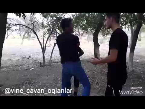 Vine cavan oqlanlar7