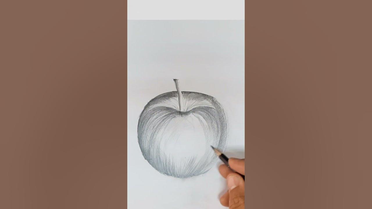 طريقة رسم تفاحة بالقلم الرصاص واستخدام الظل والنور How To Draw An Apple With A Pencil Youtube