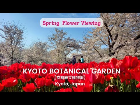 Spring Flowers at KYOTO BOTANICAL GARDEN| Japan's Oldest Botanical ...