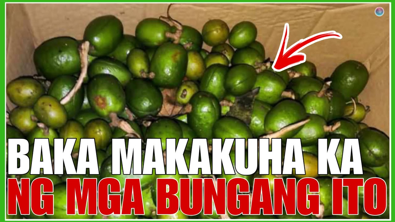 BAKA MAKAKUHA KA NG MGA GANITONG BUNGA DITO SA PILIPINAS, RARE FRUITS ...