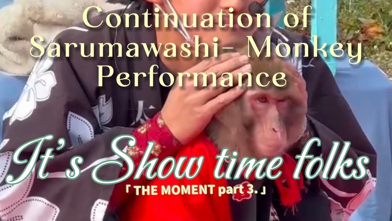 Live streaming of Janet’SVlog Monkey Show In Japan part 3 Enjoy watching#Monkey Show - YouTube