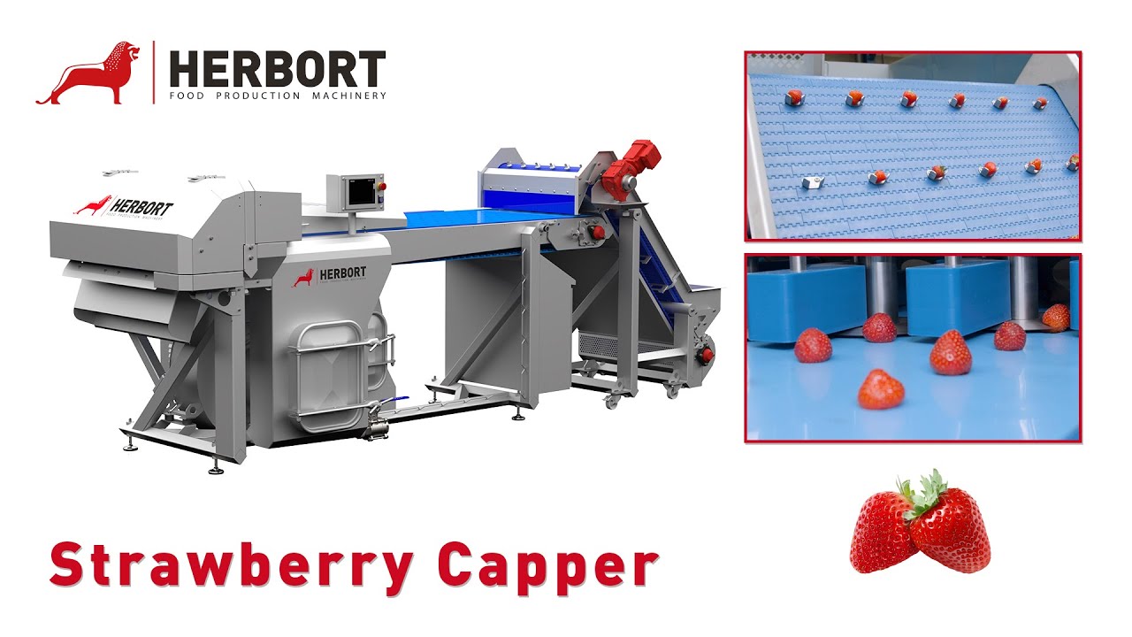 Strawberry Capper Machine I Herbort - YouTube