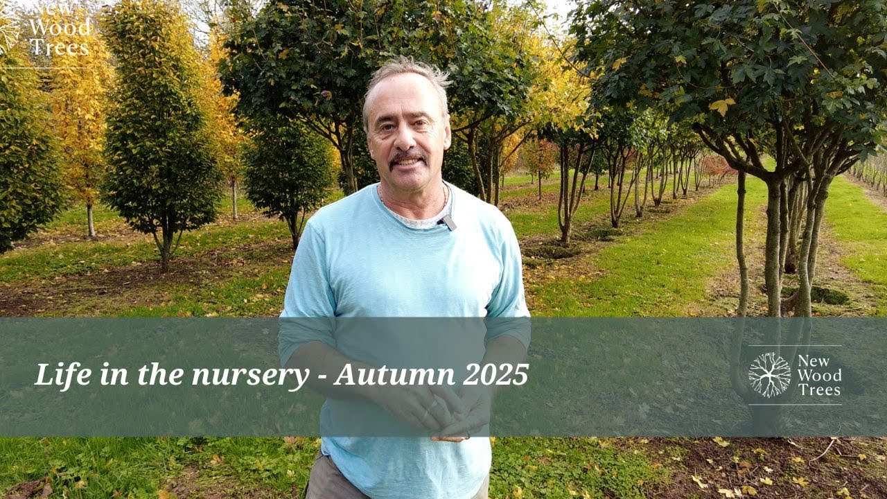Nursery life at New Wood Trees in November - YouTube