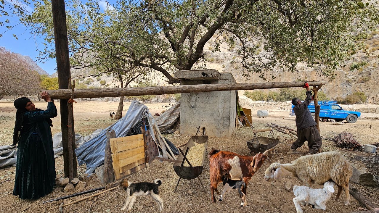 Building a traditional house for sheep, nomadic life in Iran, fighting ...