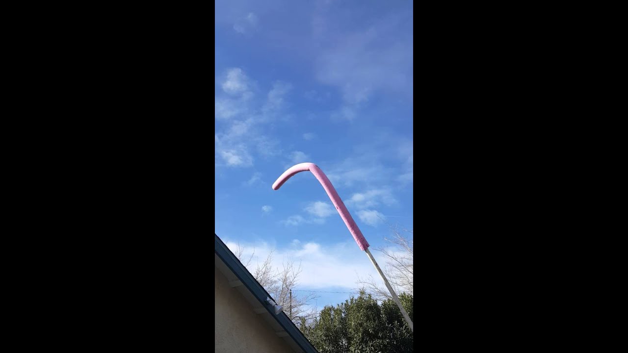 Flipping pigeons Palmdale California - YouTube