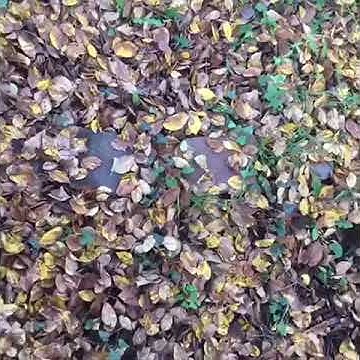 Create Your Own Introduction - YouTube