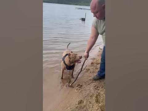 Томакс - YouTube