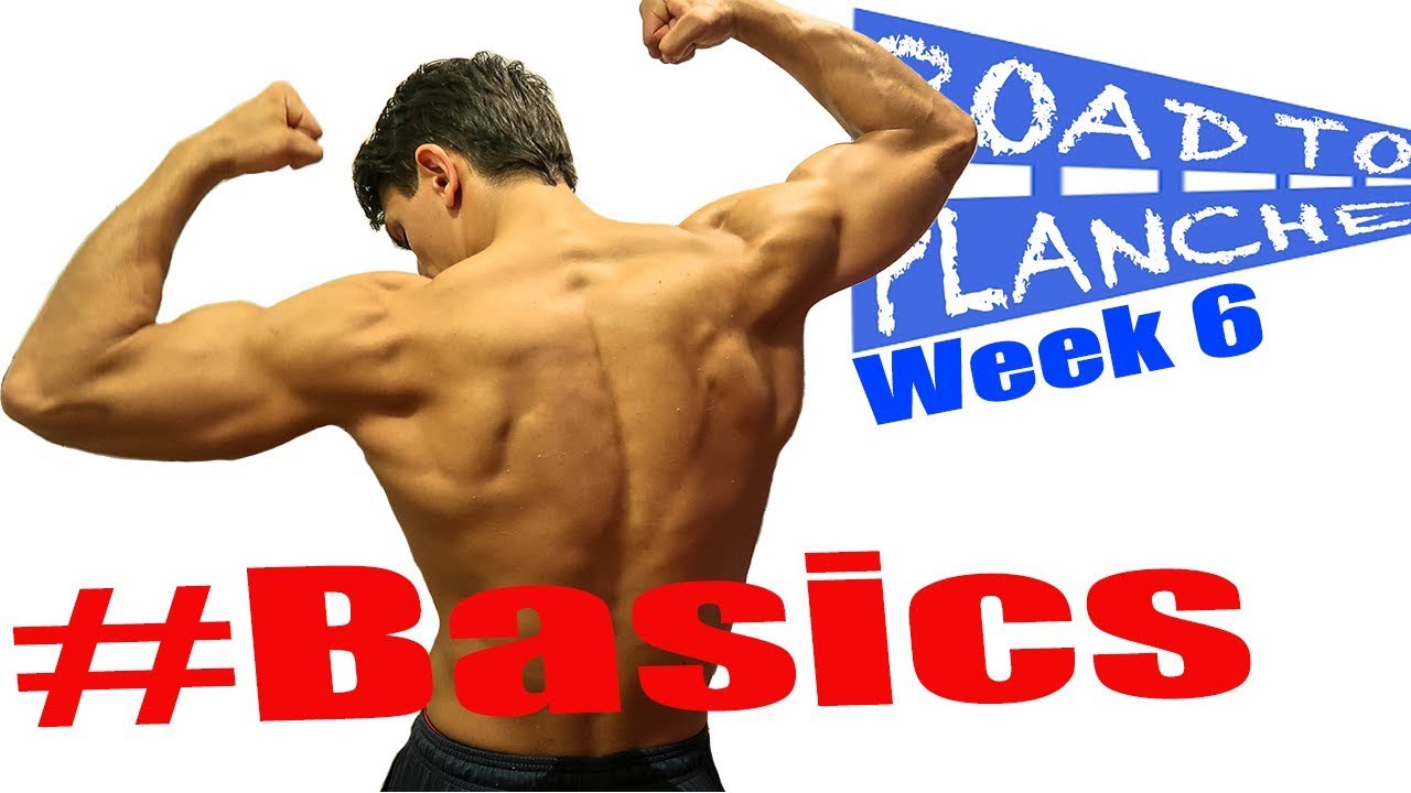 Basic Planche Strength Exercises- Road to Planche Week 6 - YouTube