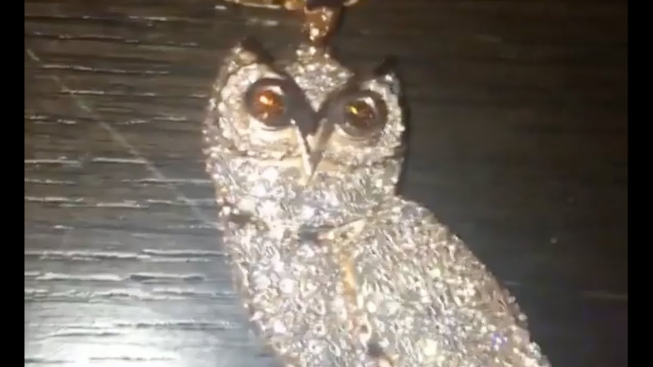 Drake Shows His New OVO Chain - YouTube