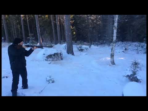 Man Cuts Down Tree With Shotgun - YouTube