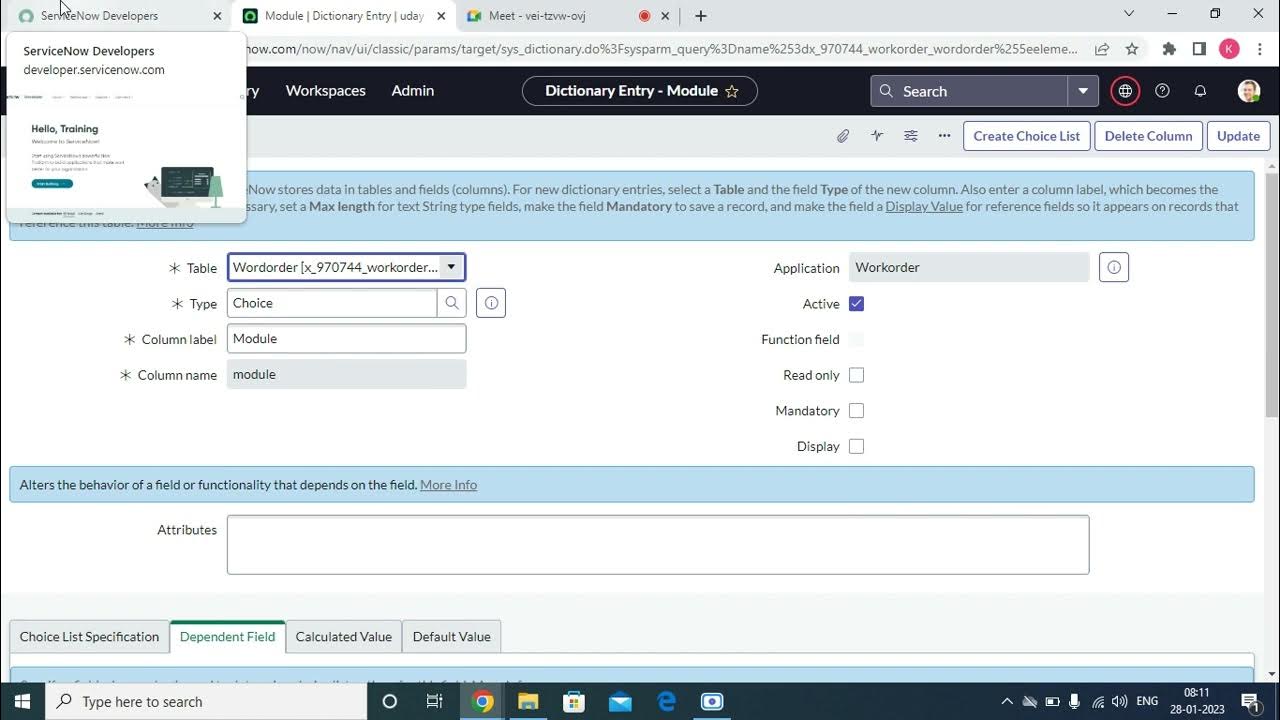 ServiceNow Views and Sections - YouTube