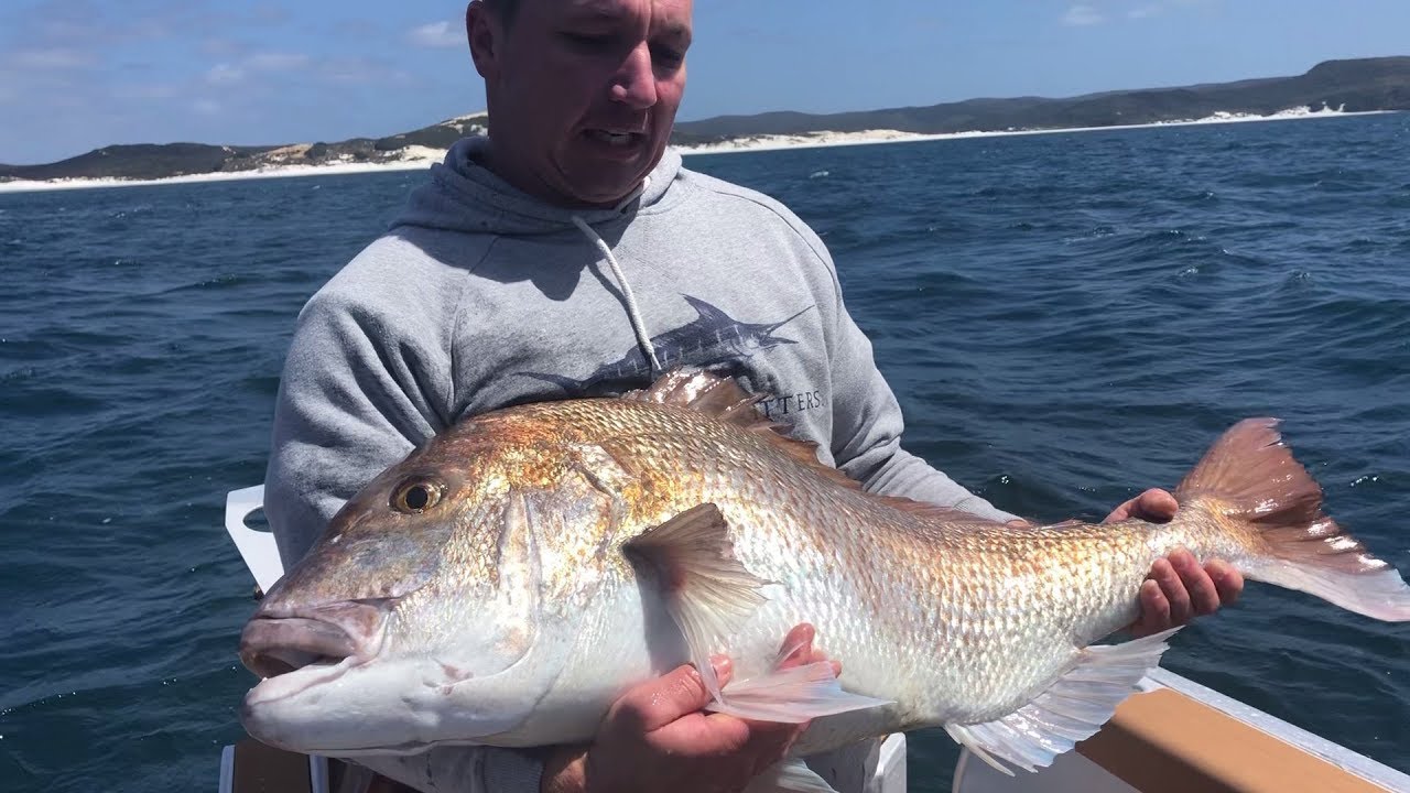 Massive 15kg Snapper caught on a lure - YouTube