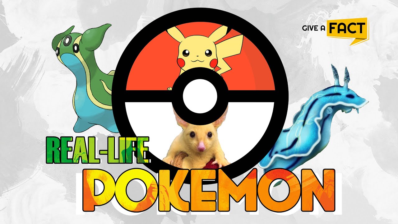 8 Famous Pokemon Animals In Real Life: Pikachu, Shellos, And More ...