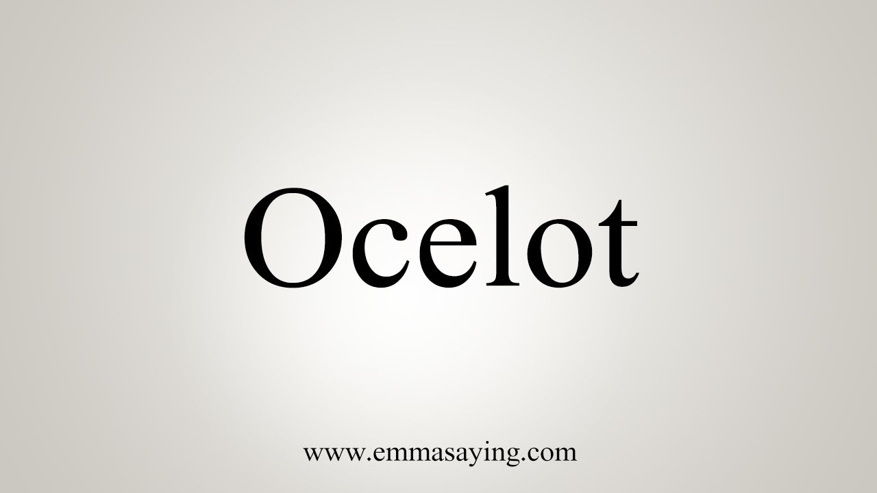 How To Say Ocelot - YouTube