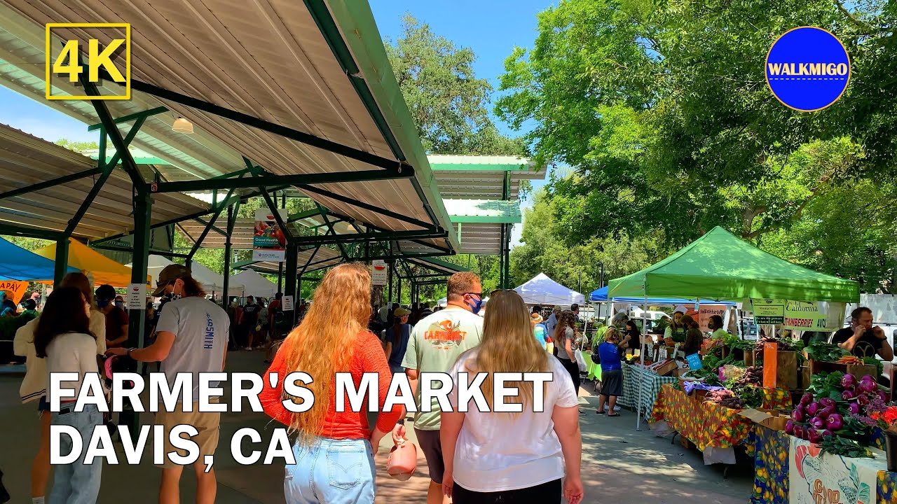 Saturday Morning in Davis | Binaural Audio 🎧 | Farmer's Market ...