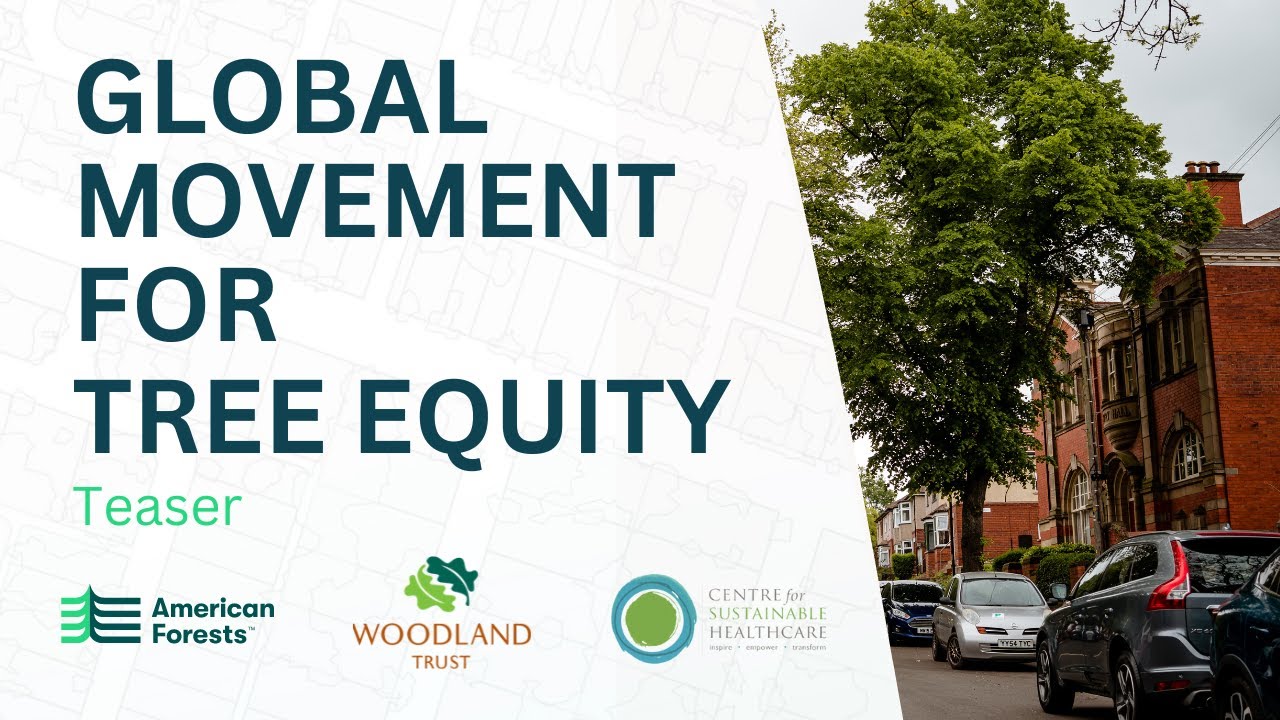 The Global Movement for Tree Equity - Teaser - YouTube