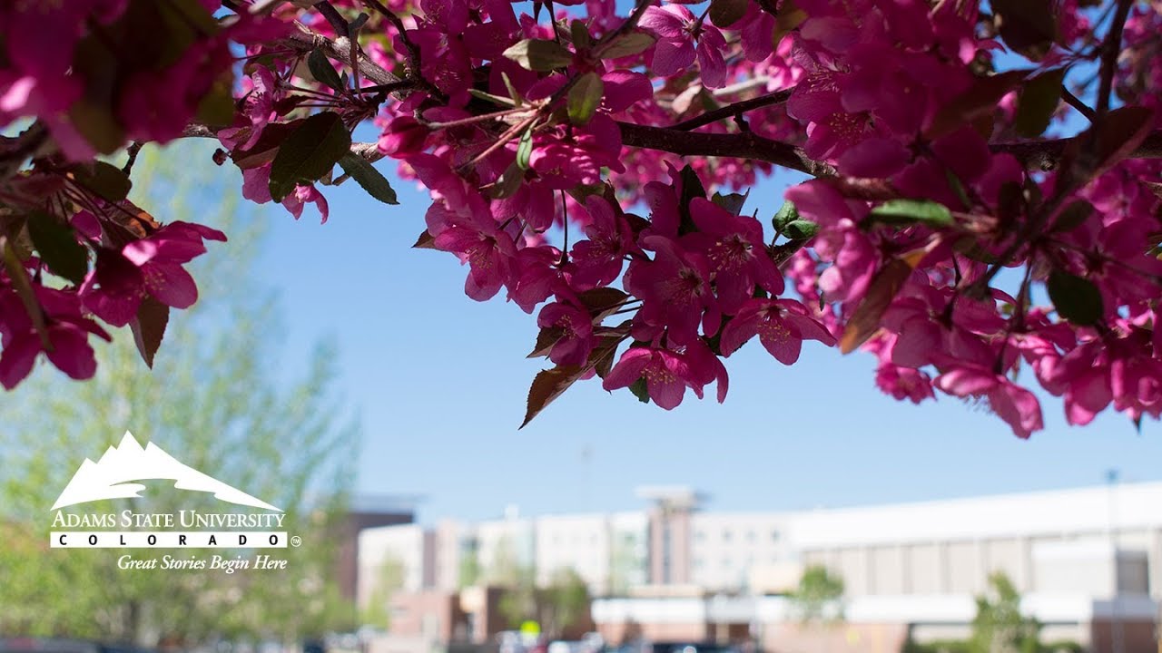 Undergraduate Commencement - Spring 2018 - Adams State University - YouTube
