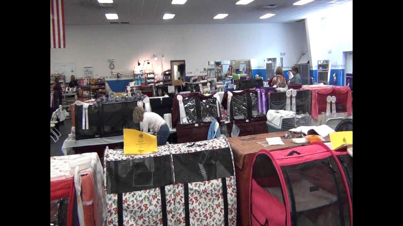 Nauticats Cat Show; Manchester, NH - YouTube