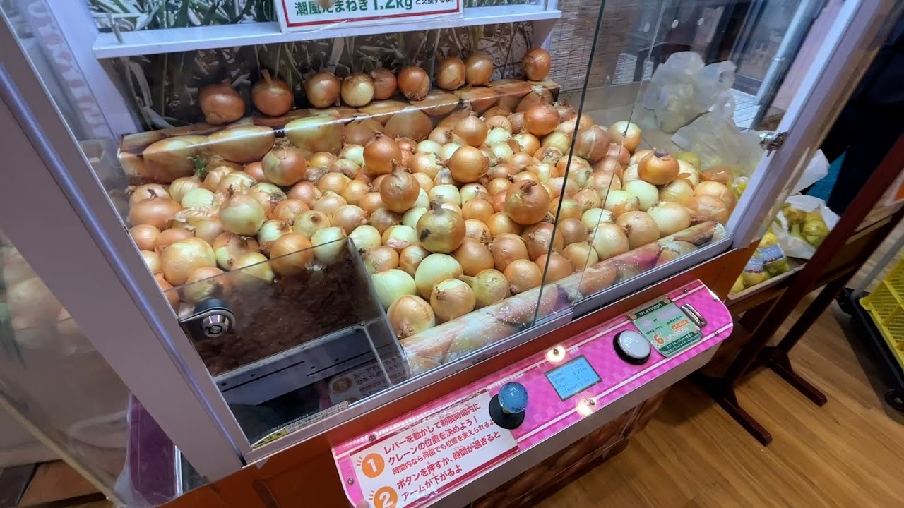 Japanese Food Tour on the Hilarious Onion Island of Japan - YouTube