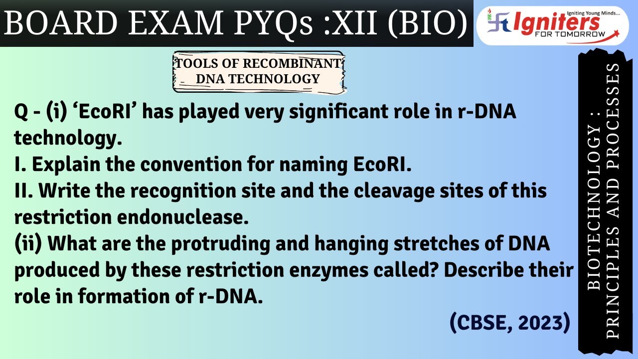 EcoRI’ has played very significant role in r-DNA technology.I. Explain the convention for naming ...