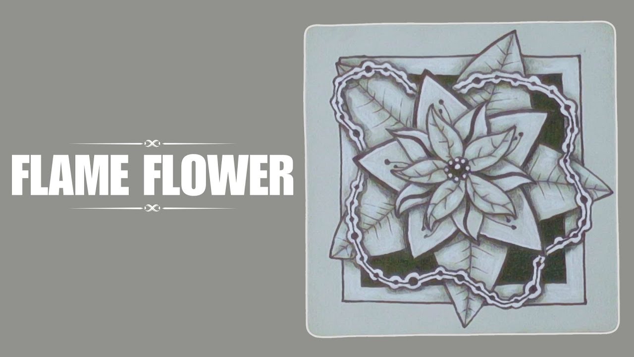 How to Draw Flame Flower | Zentangle Botanical Flower Tutorial - YouTube