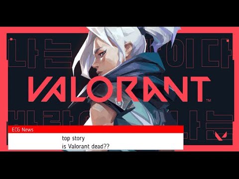 valorant vs rogue company - YouTube