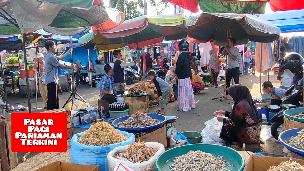 Pasar Pariaman Kalau Ramai jadi Meriah, Ada Penjual Obat dan Ikan Laut ...
