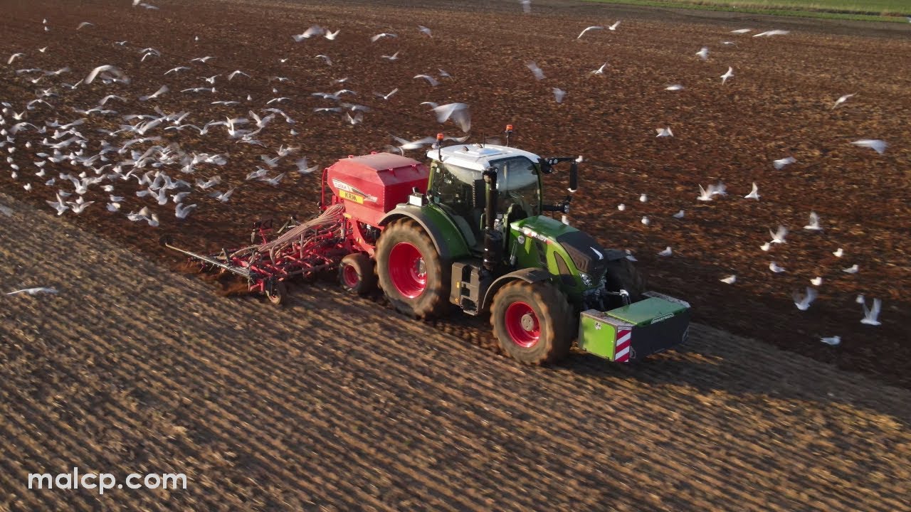 Drilling winter beans with a Fendt 724 Vario and a KRM Ares 2713 ...