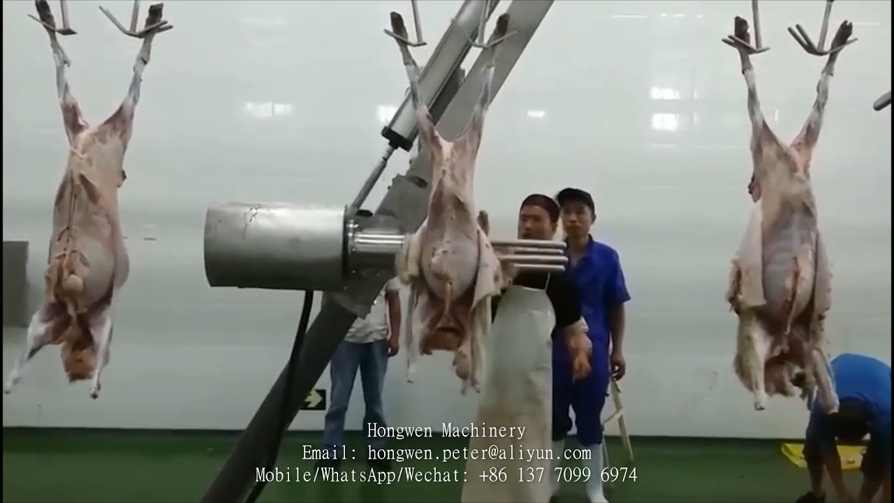 lamb sheep goat skinning hide peeling machine Máquina de pelar piel de ...