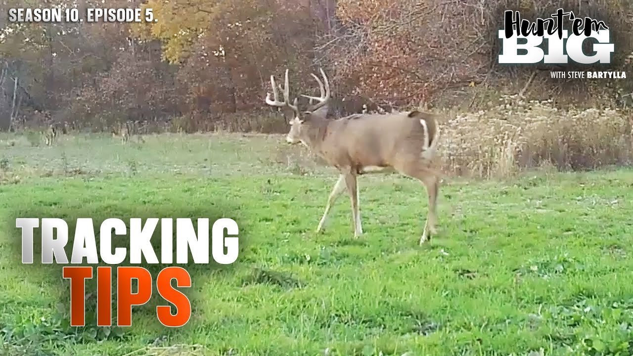 Top Tracking Advice When Deer Hunting - YouTube
