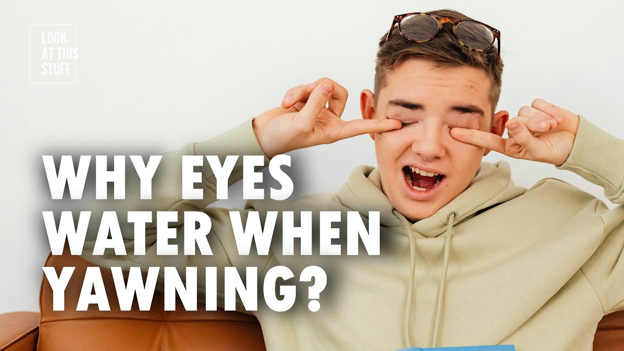 Why Our Eyes Water When We Yawn - YouTube