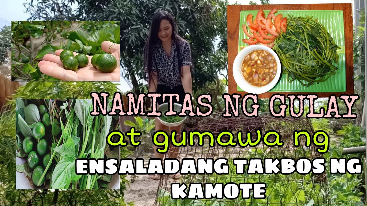 CAMOTE TOPS SALAD|FRESH FROM THE FARM|Healthy Food For Healthy Living ...