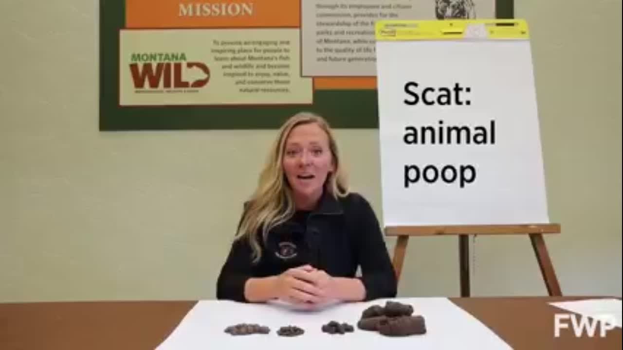 Your Guide To Identifying Animal Poo Good Living Animal Poop