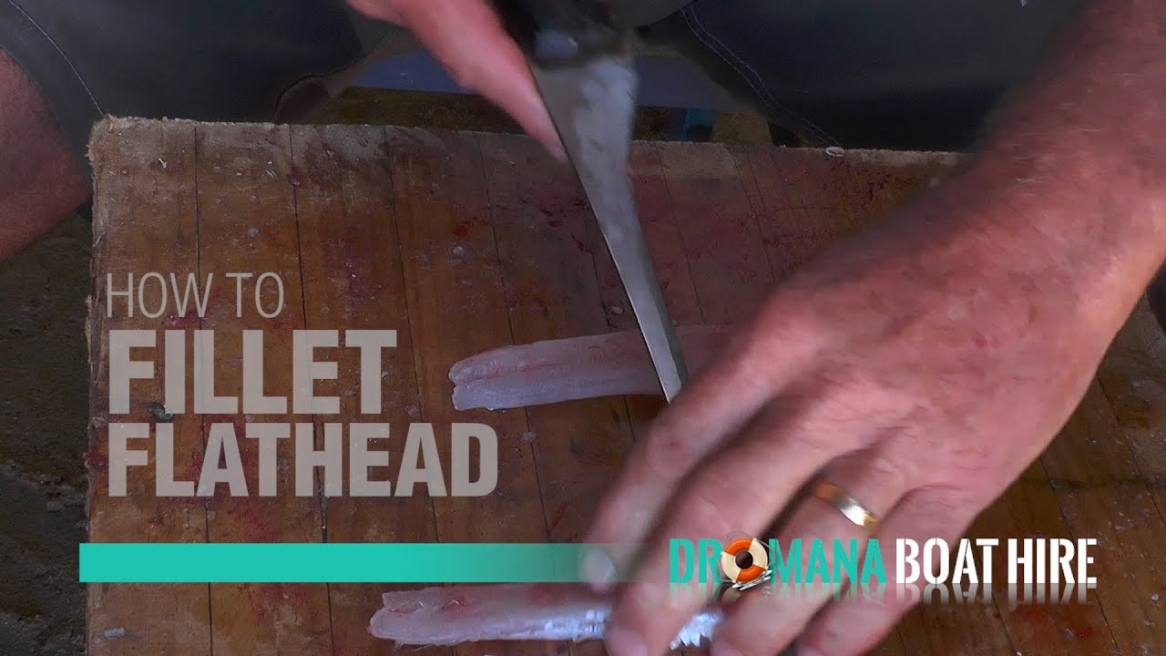 How to Fillet a Flathead with no bones - YouTube