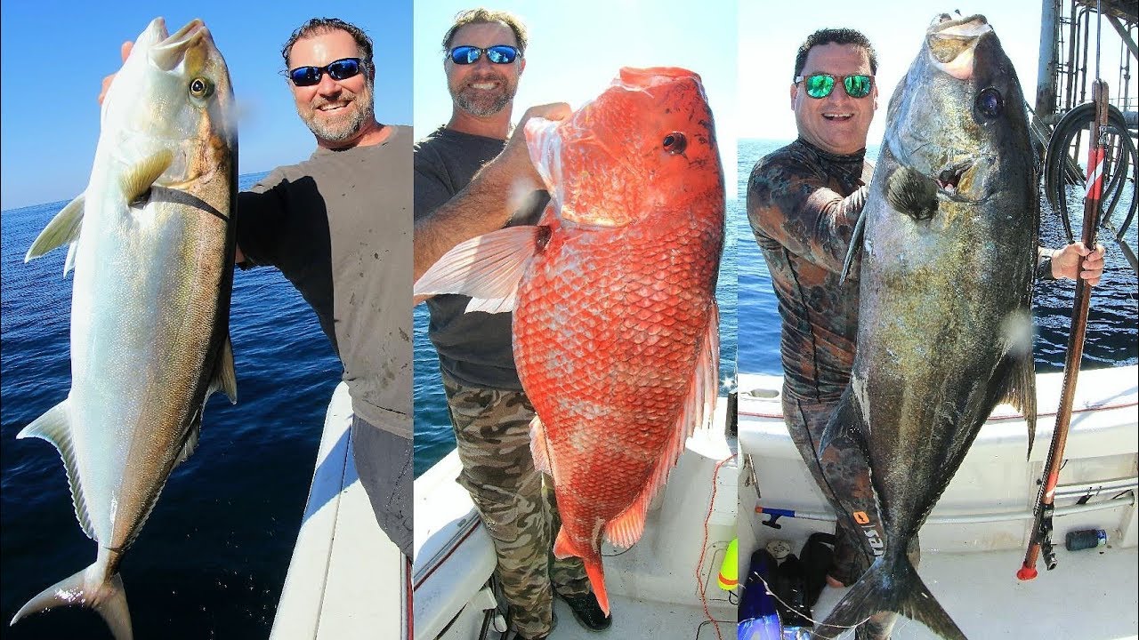 2018March15 Dolphins, Sharks, Scamp, Jacks, Tuna & More with Primofish ...