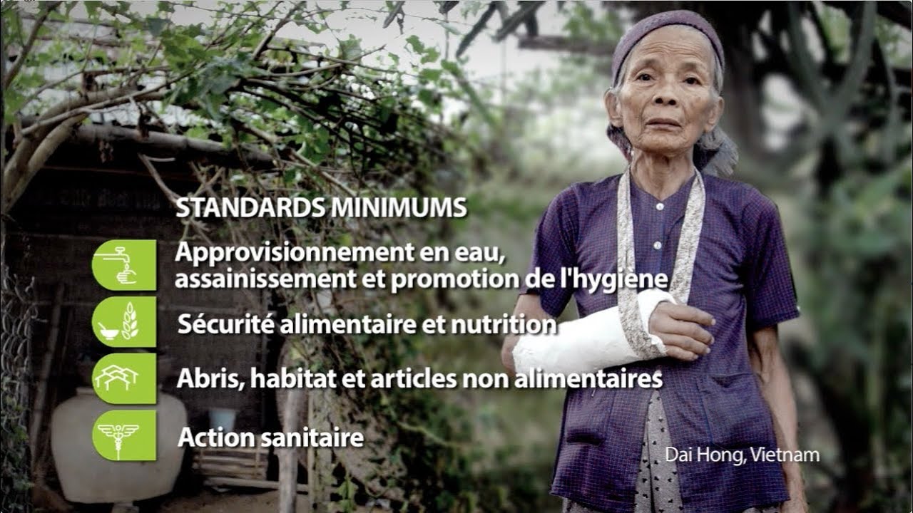 Les standards humanitaires à l'épreuve du terrain: quand le manuel ...