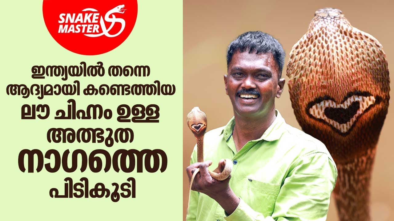 ഇന്ത്യയിൽ തന്നെ ആദ്യമായി കണ്ടെത്തിയ ലൗ ചിഹ്നം ഉള്ള അത്ഭുത നാഗത്തെ ...