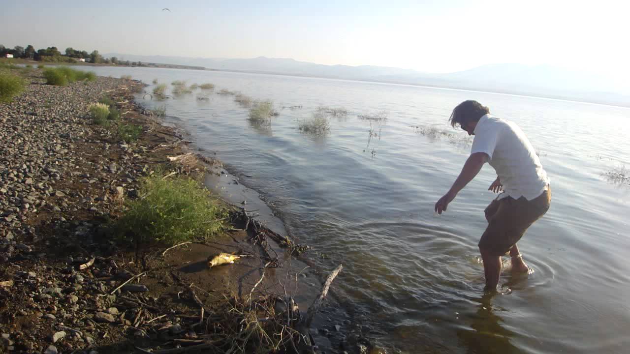 How to Catch Fish With Bare Hands! (Road2Rio) - YouTube