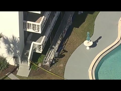 Construction worker falls to his death