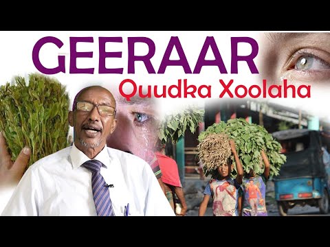 Geeraarka Quudka Xoolaha| Abwaan Waraabiye| 2023. - YouTube