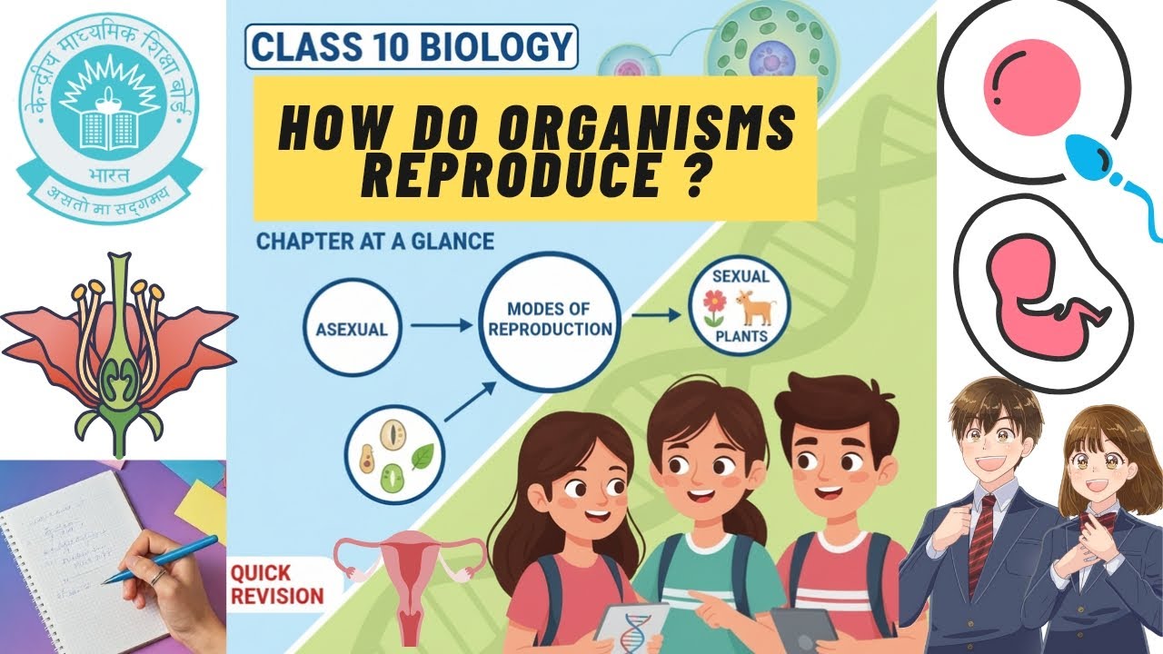 How Do Organisms Reproduce? | Chapter at a Glance ( Quick Revision) I ...