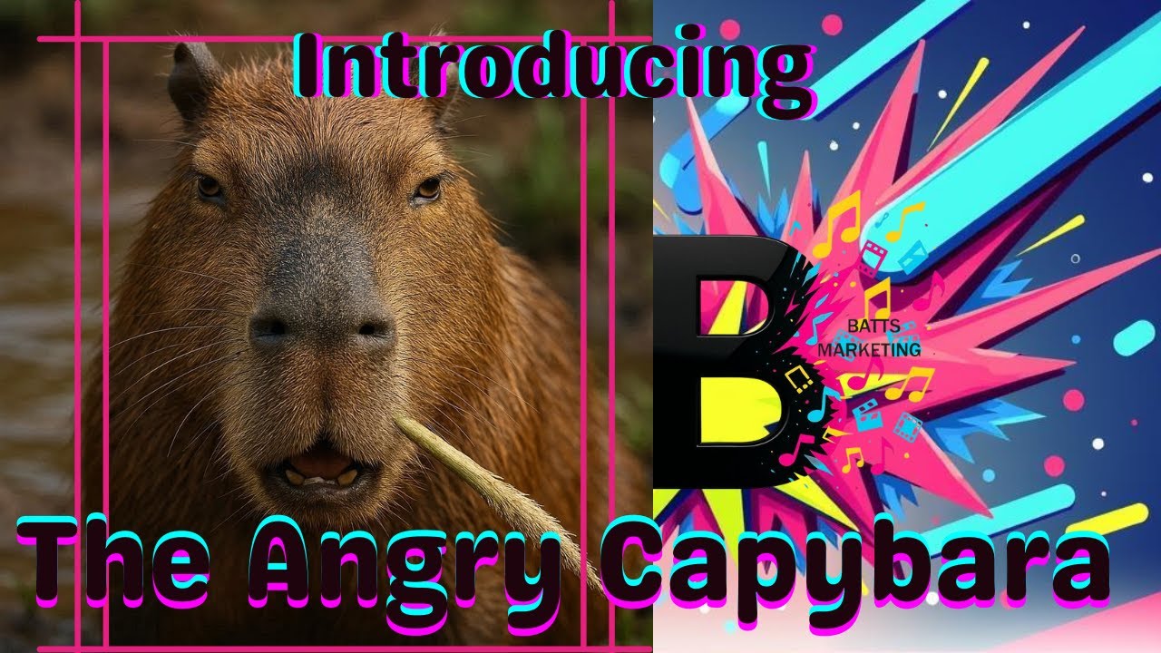 Meet the Angry Capybara #battsmarketing #angrycapybara - YouTube