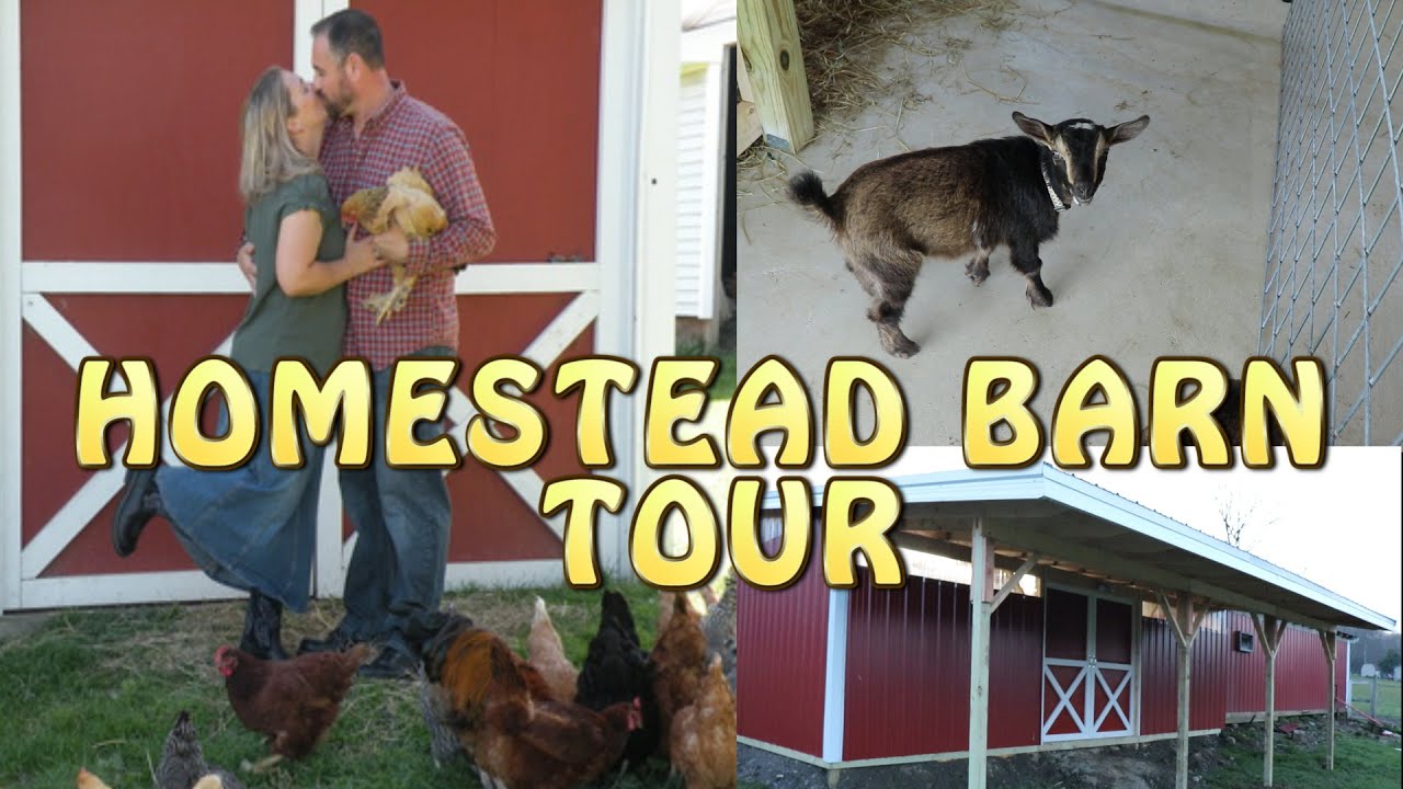 Homestead Barn Tour - YouTube
