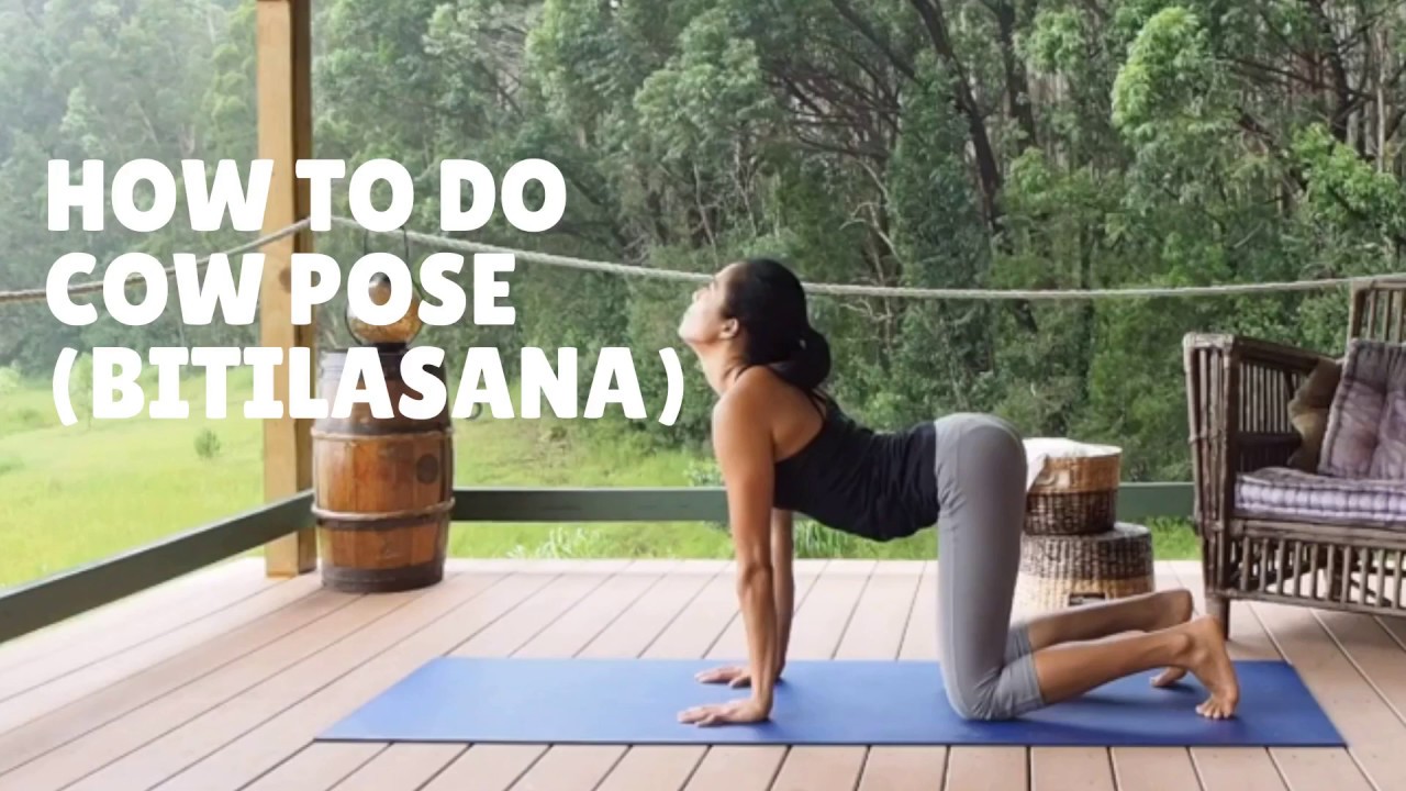 Yoga Poses - How To To Cow Pose (Bitilasana) - YouTube