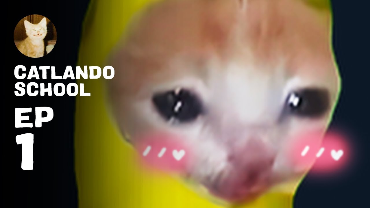 EP1 - STRAWBERRY CAT STORM 🍓🐱🌪️ - YouTube